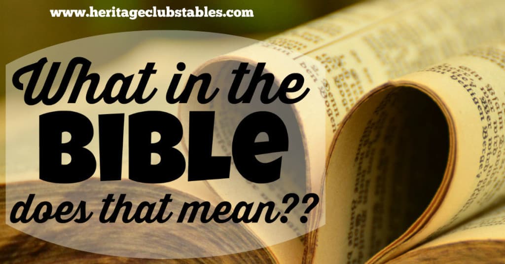 What In The Bible Does That Mean what-in-the-bible-does-that-mean