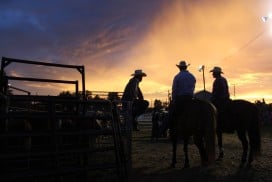 5 things the American cowboy does for YOU | HCS