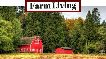 Life on a "modern day homestead" | A Life of Heritage