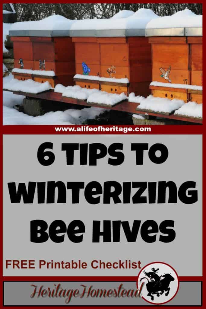 6 Tips to Winterizing Bee Hives | A Life of Heritage