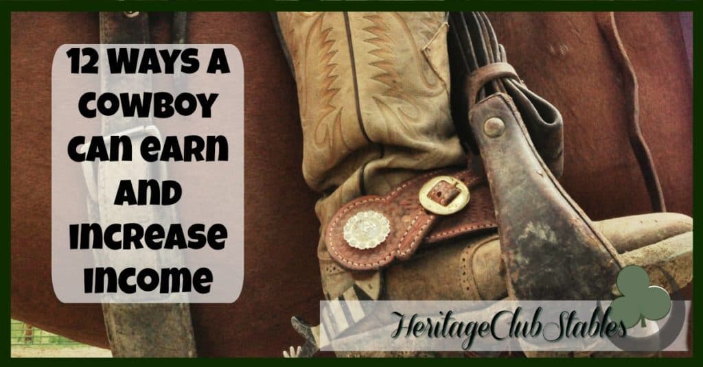 12 ways cowboys can earn & increase income