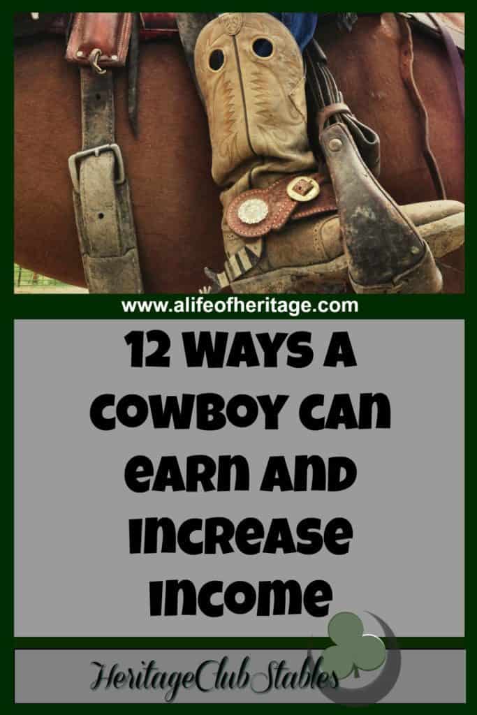12 ways cowboys can earn & increase income