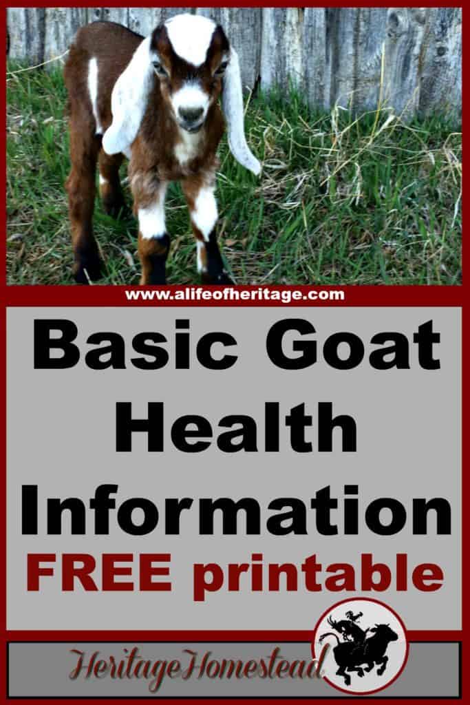 Basic Goat Health Information