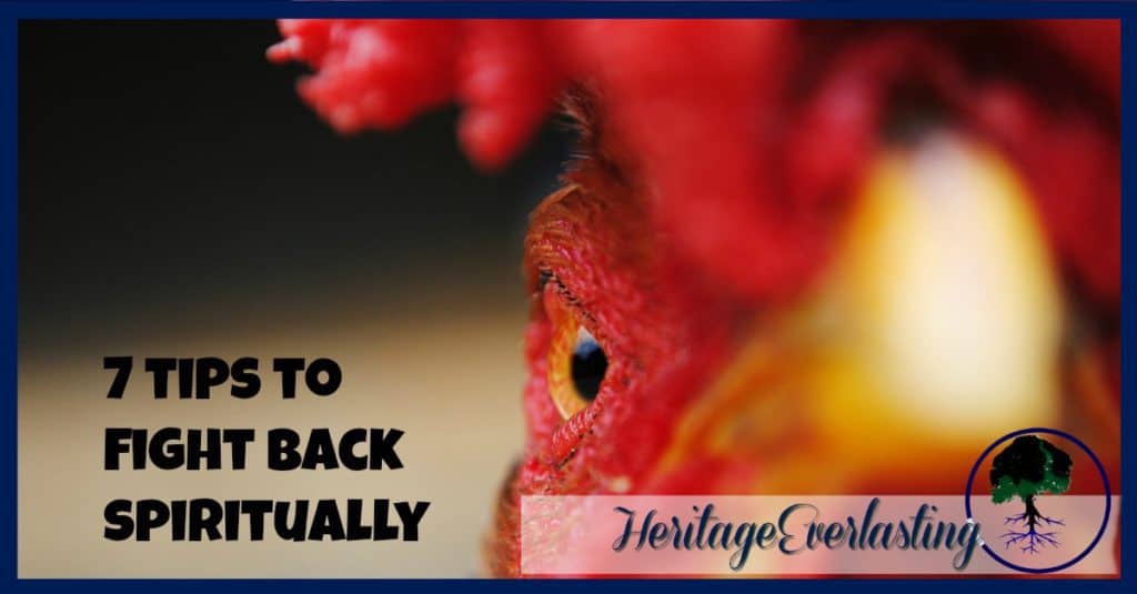 7 Tips to Fight Back Spiritually : Don't be a chicken!!