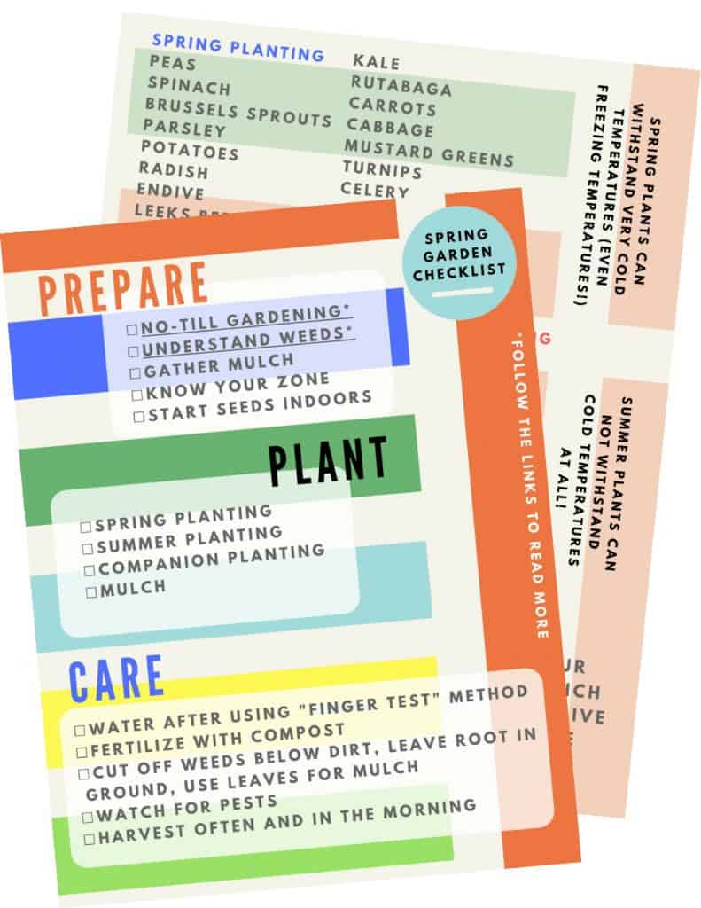 Spring Vegetables: What, When & How to Prepare Your Garden