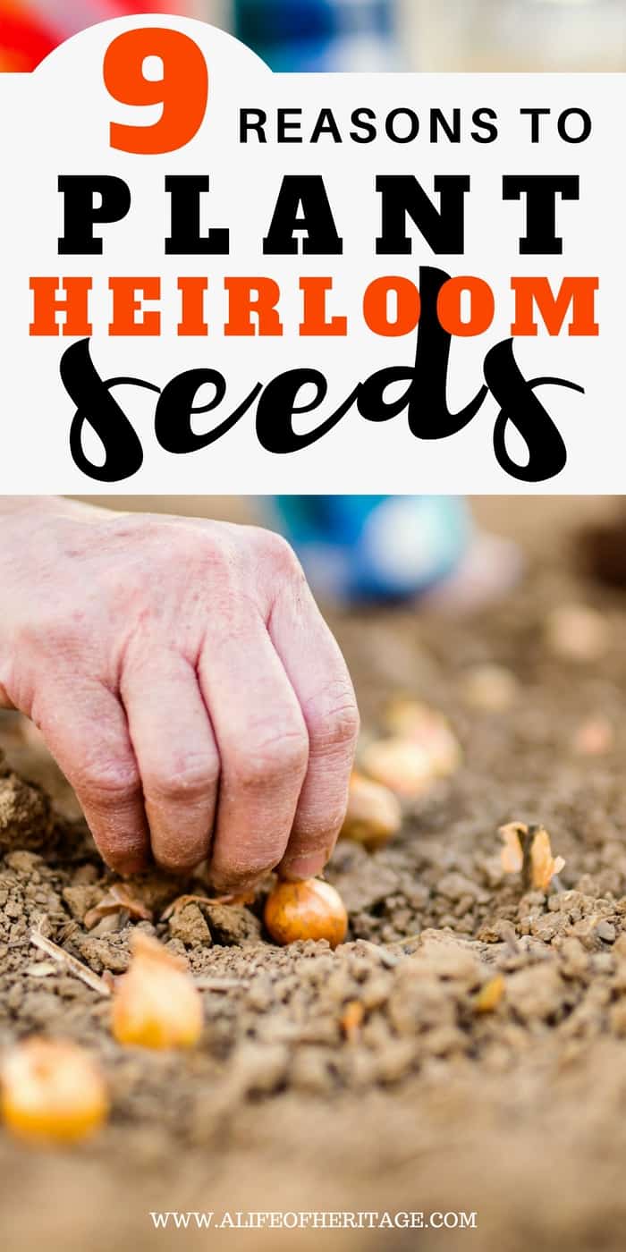 Heirloom Seeds: Why You MUST Make the Switch