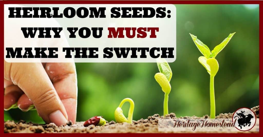 Heirloom Seeds: Why You MUST Make the Switch