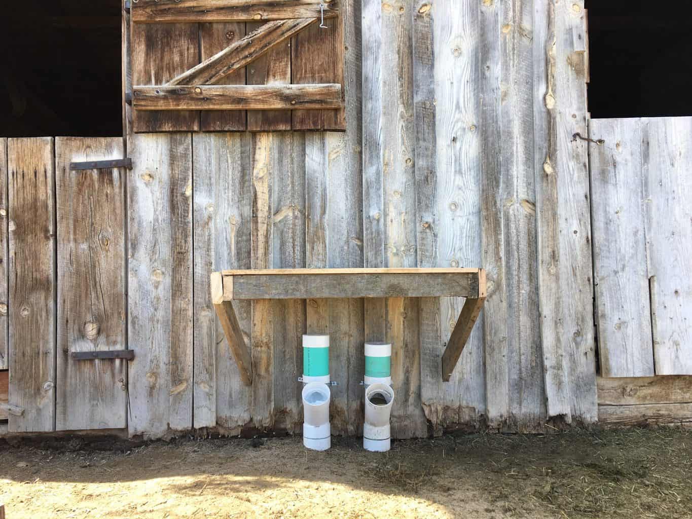 Easy DIY Goat Mineral Feeder For Healthy Goats!