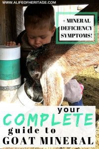 Complete Goat Mineral Information and Guidelines for 2025