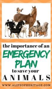 The Importance of an Emergency Plan to Save Your Animals