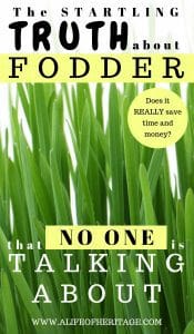 The Startling Truth About Fodder That NO ONE is Talking About