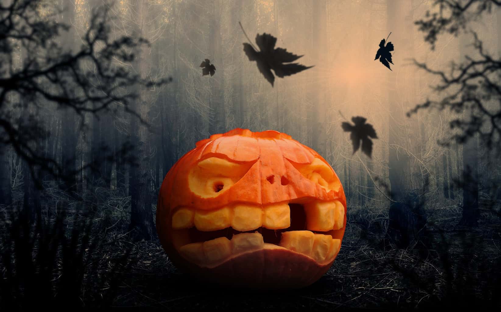 21 of the Best Pumpkin Carving (or Not!) Ideas That Will Impress Anyone!