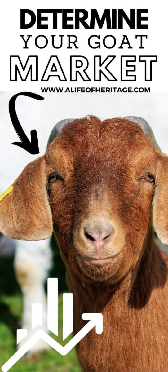 Determine Your Goat Market