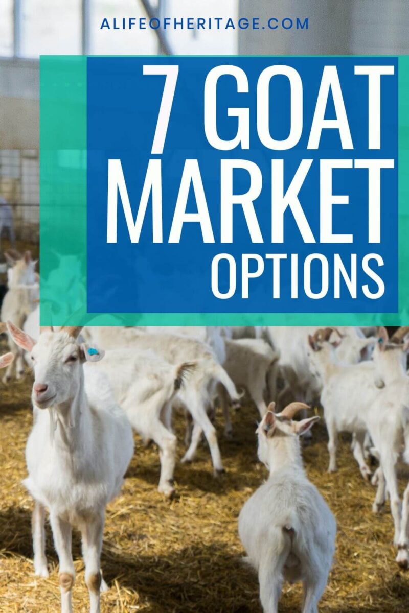 A Guide to Diverse Goat Markets August 2025